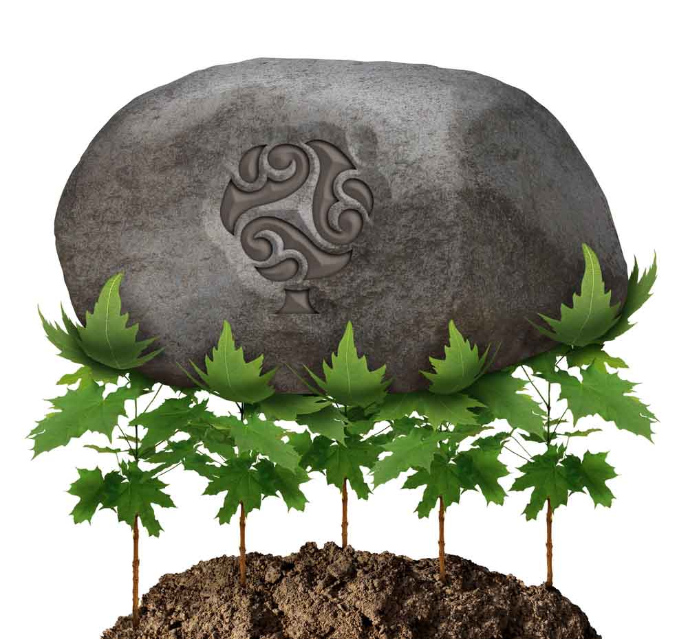 Our Values - Oak Consult